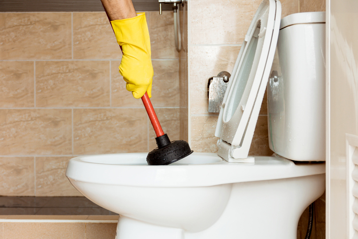 Leto Plumbing: Toilet Services in Plainfield